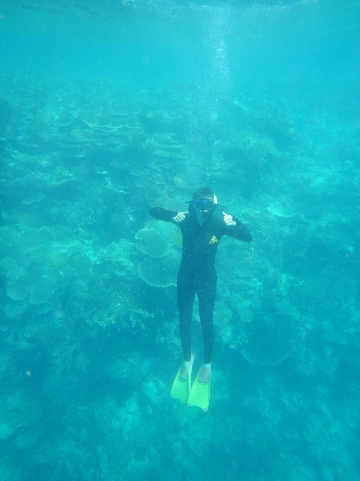 Program Spotlight: Georgetown on the Great Barrier Reef | Office of ...